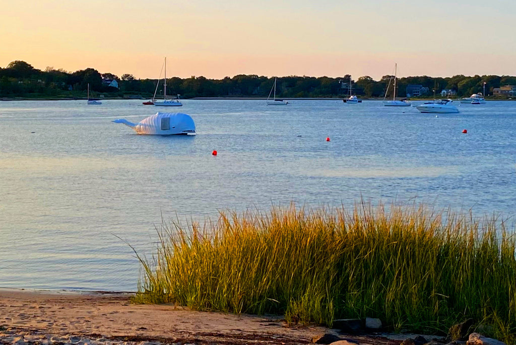 WHAT TO DO IN THE HAMPTONS: FALL 2023